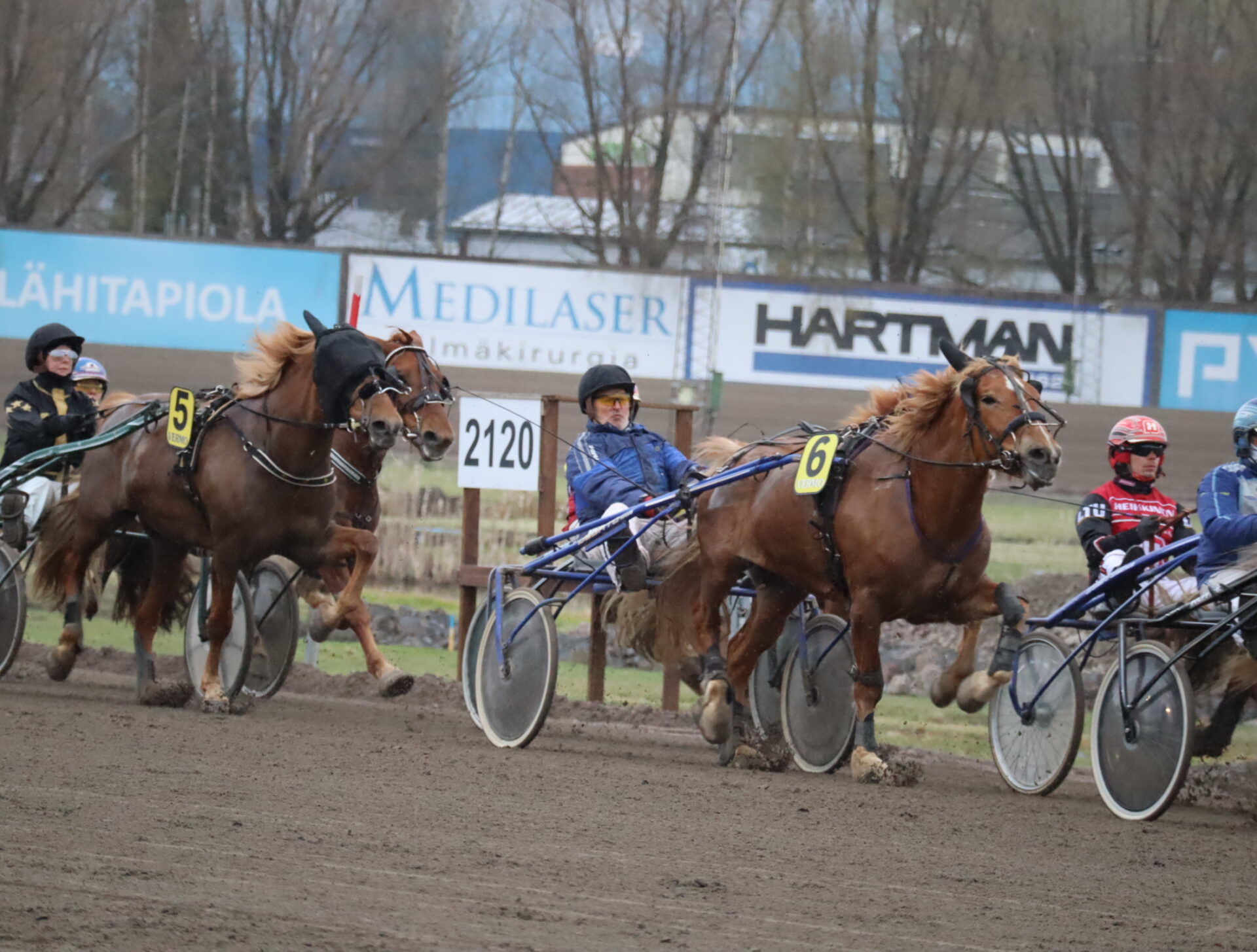 Hevoset, vauhdinhurma ja huoli – kuvaamassa Vermon raveissa - Mummo ...
